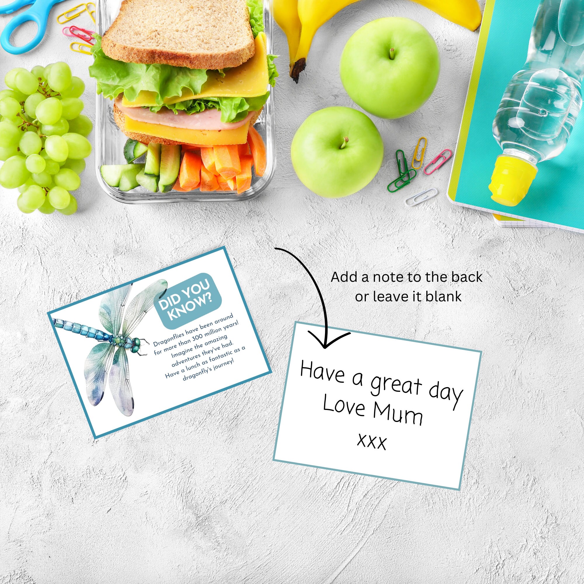 Dragonfly Fun Facts Lunchbox Notes: Kids Learning Cards (PDF) - Etsy