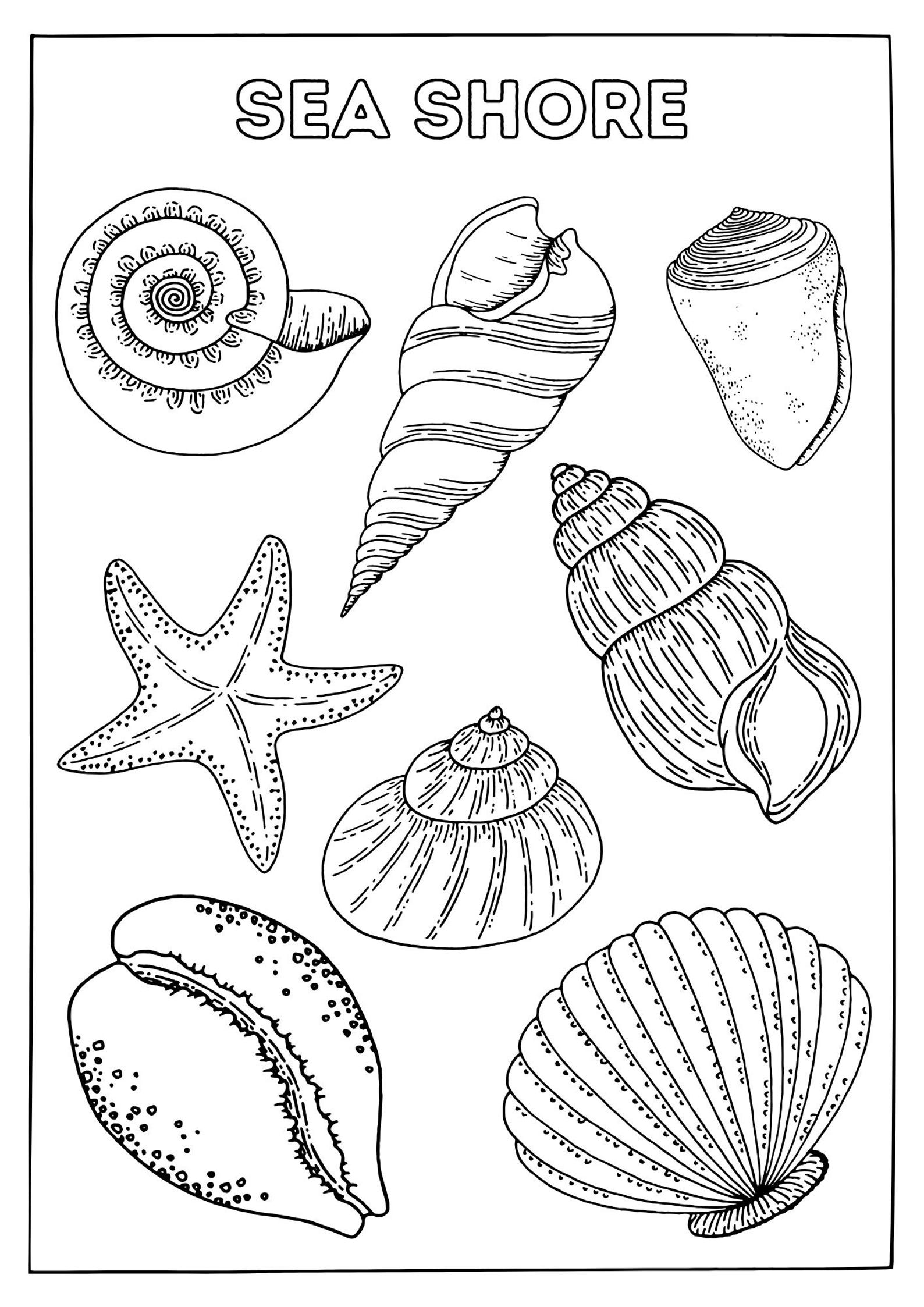 Ocean Busy Book: Montessori Learning Activity Pack (ages 3-6 ...