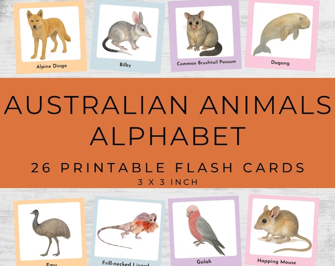 ABC Alphabet Flashcards Learning Letter Native Australian Animals Play ...