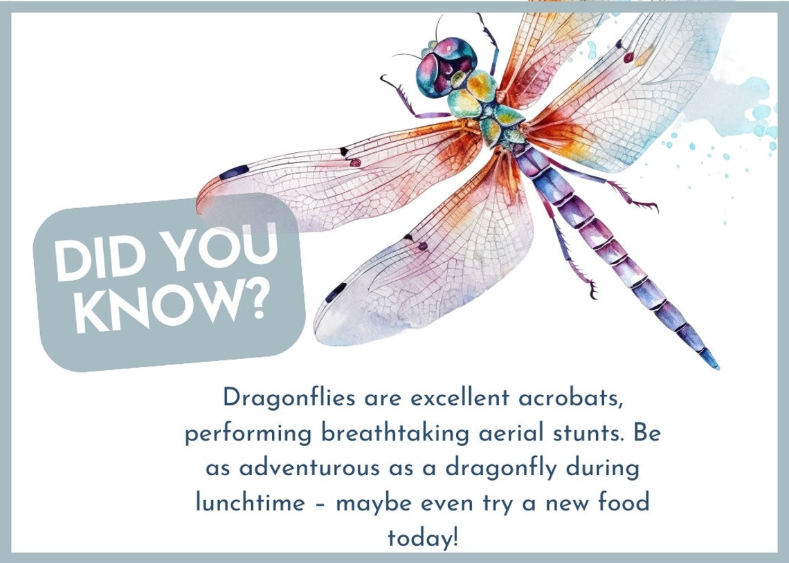 Dragonfly Fun Facts Lunchbox Notes: Kids Learning Cards (PDF) - Etsy