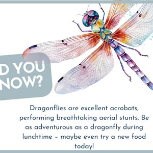 Dragonfly Fun Facts Lunchbox Notes: Kids Learning Cards (PDF) - Etsy