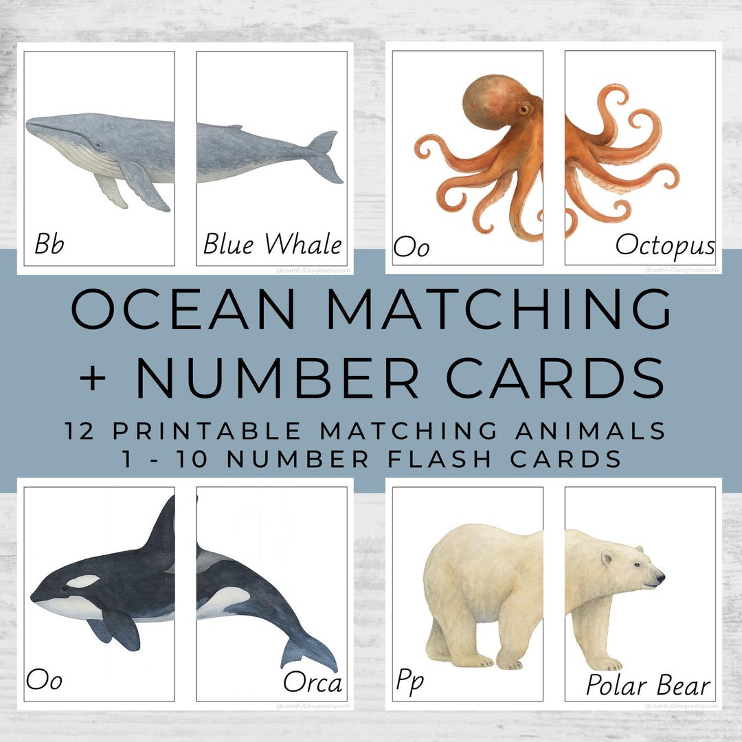 Ocean Animal Matching Game: Montessori Number Flashcards (printable ...