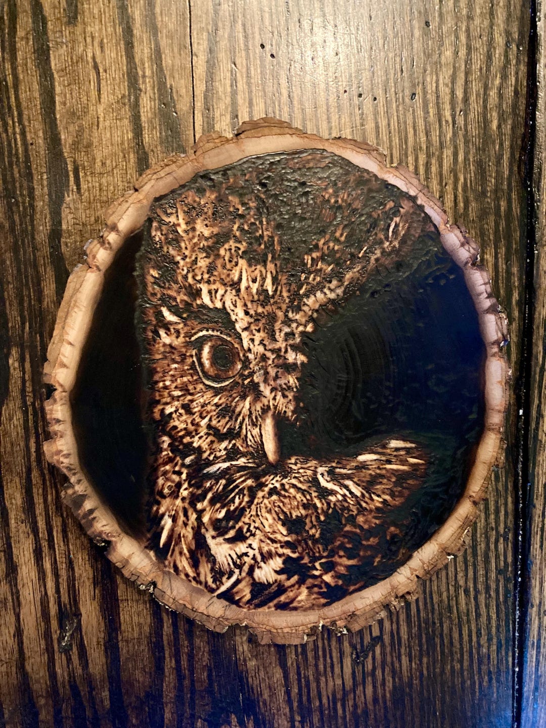 Handmade Wood Burning Owl Art: the Watcher - Etsy