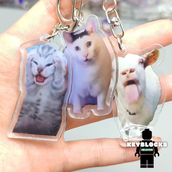 Confused Cat Meme Shirt - Etsy