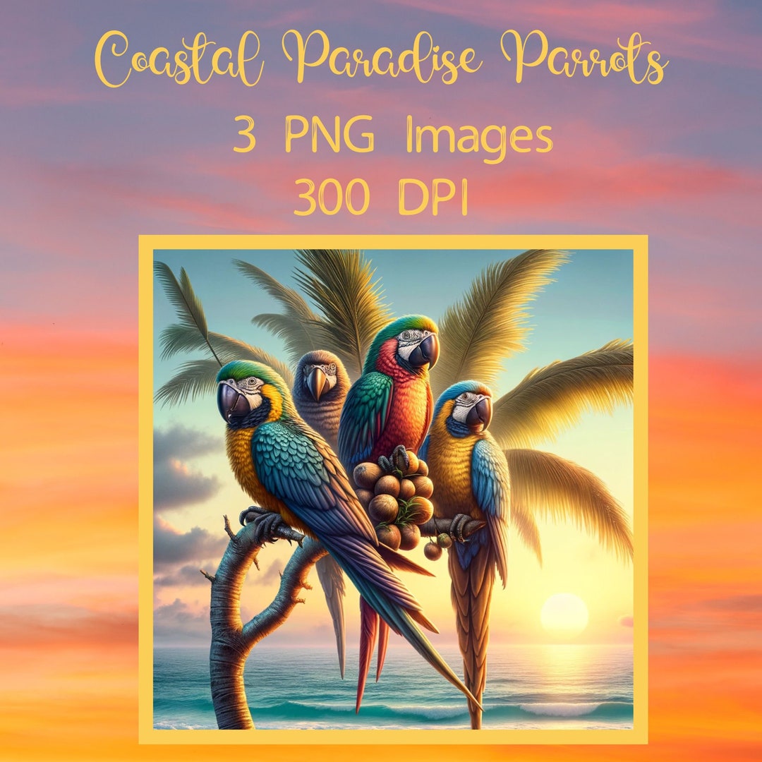 Coastal Paradise Parrots - 3 PNG Image Bundle, Tropical Beach Sunset ...