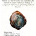 Abalone Crystal Meaning Card Printable PDF Numerology - Etsy