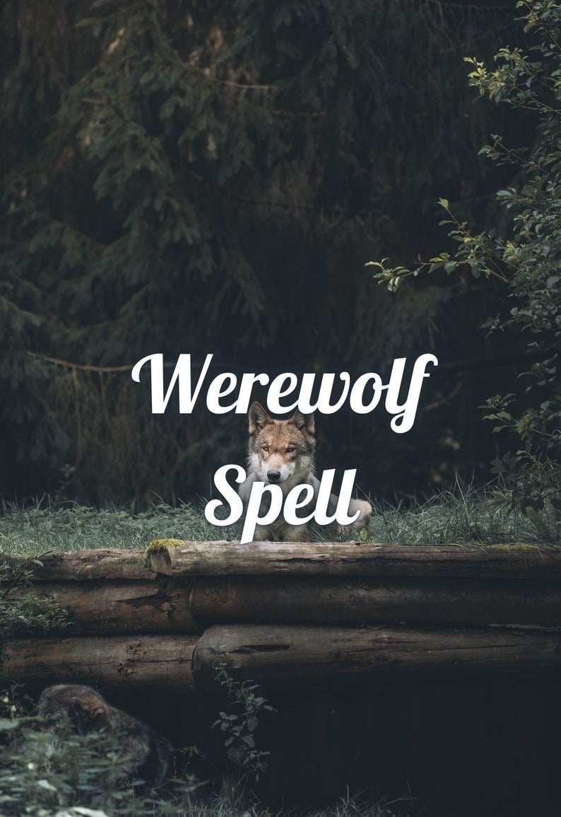 Transforming Into a Werewolf, Werewolf, Transformation, Same Day, - Etsy