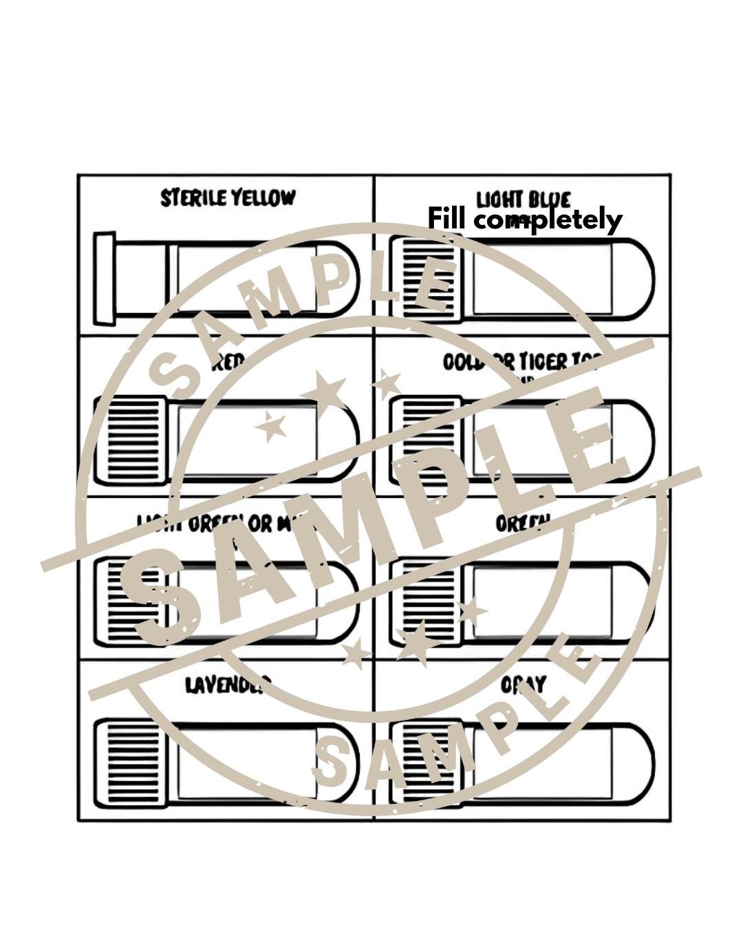 Order of Draw Flashcards Sheets - Etsy