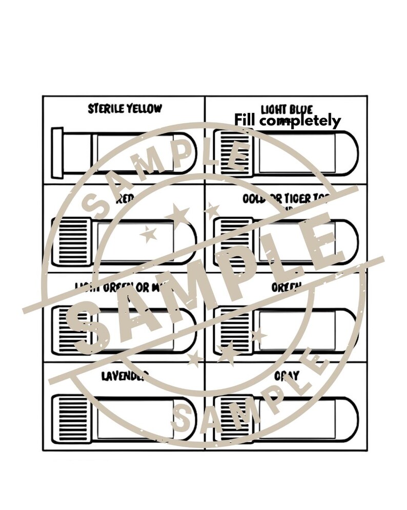 Order of Draw Flashcards Sheets - Etsy Australia
