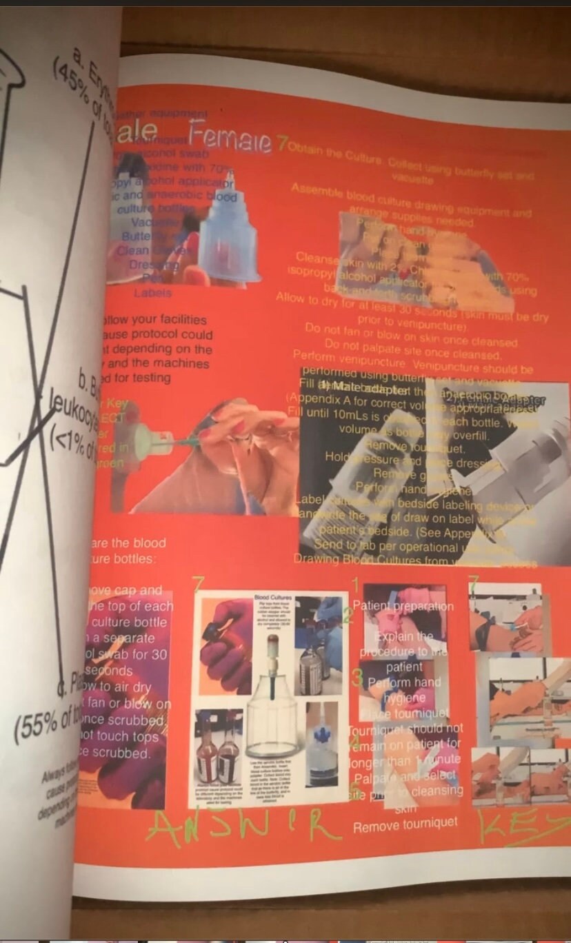 Phlebotomy Color of Draw - Etsy