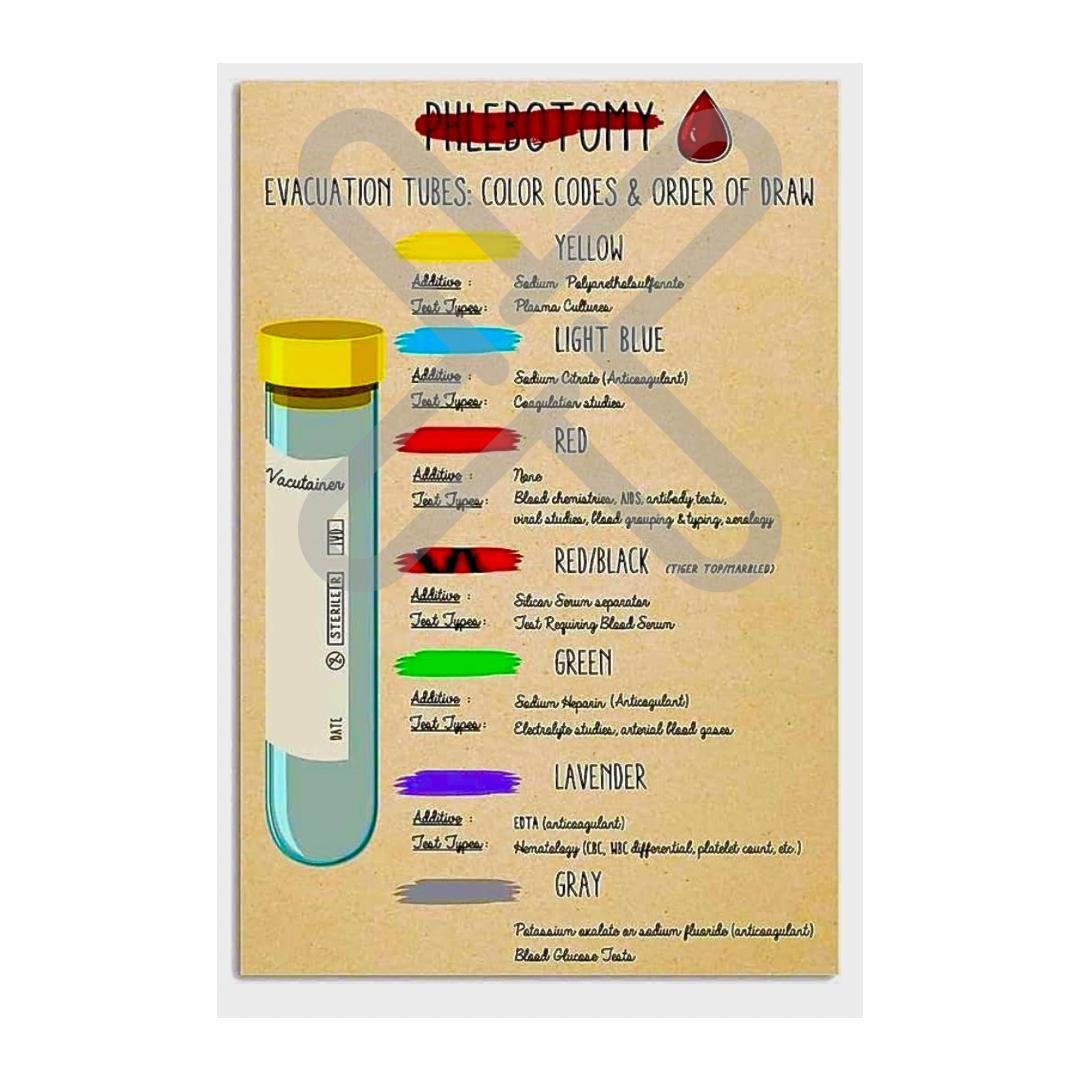 Phlebotomy Knowledge Evacuation Tubes, Color Codes and Order of Draw ...