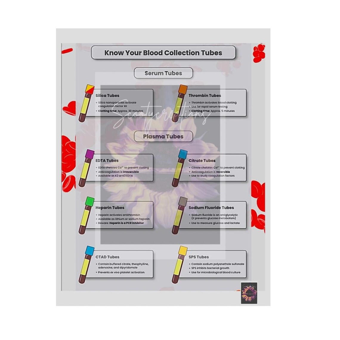 Phlebotomy Study Guide Blood Collection Tube Study Guide Know Your ...