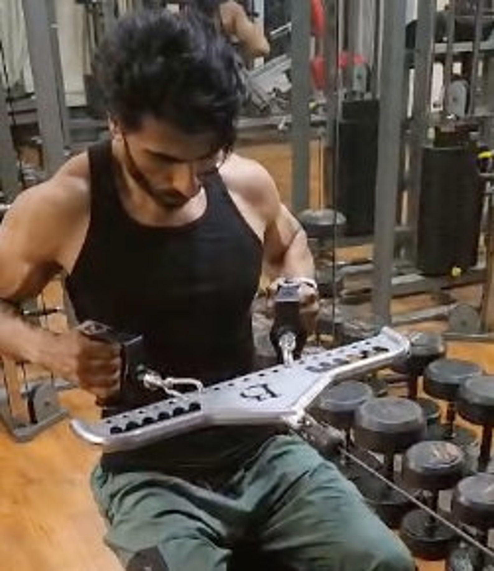 Grip/ Handles Rotating 2 Pcs for Triceps Pushdown, Lat Pull Down ...