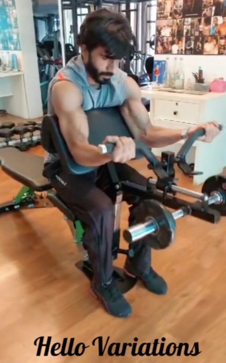 Leg Extension With Leg Curl Prechure Curl Sit-up Bench All in One ...