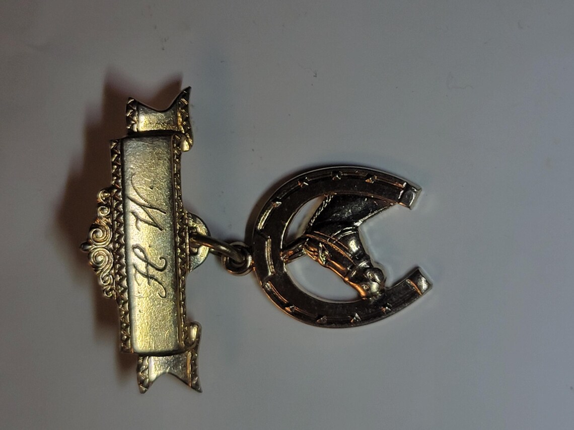 Vintage Horse and Horseshoe Lapel Pin - Etsy