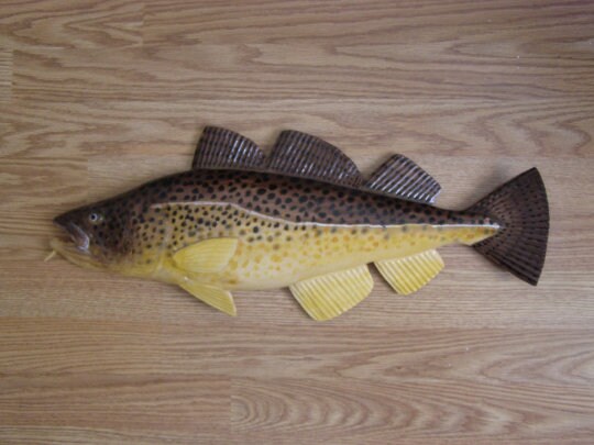 Atlantic Cod, Gadus Morhua, Cod, 21-25 Inches 3D Wall Wooden Fish, One ...
