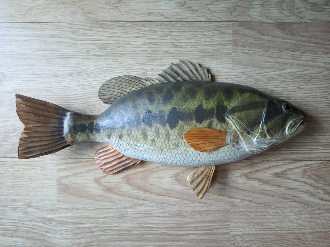 Largemouth Bass, Micropterus Salmoides, 21-25 Inches 3D Wall Wooden ...