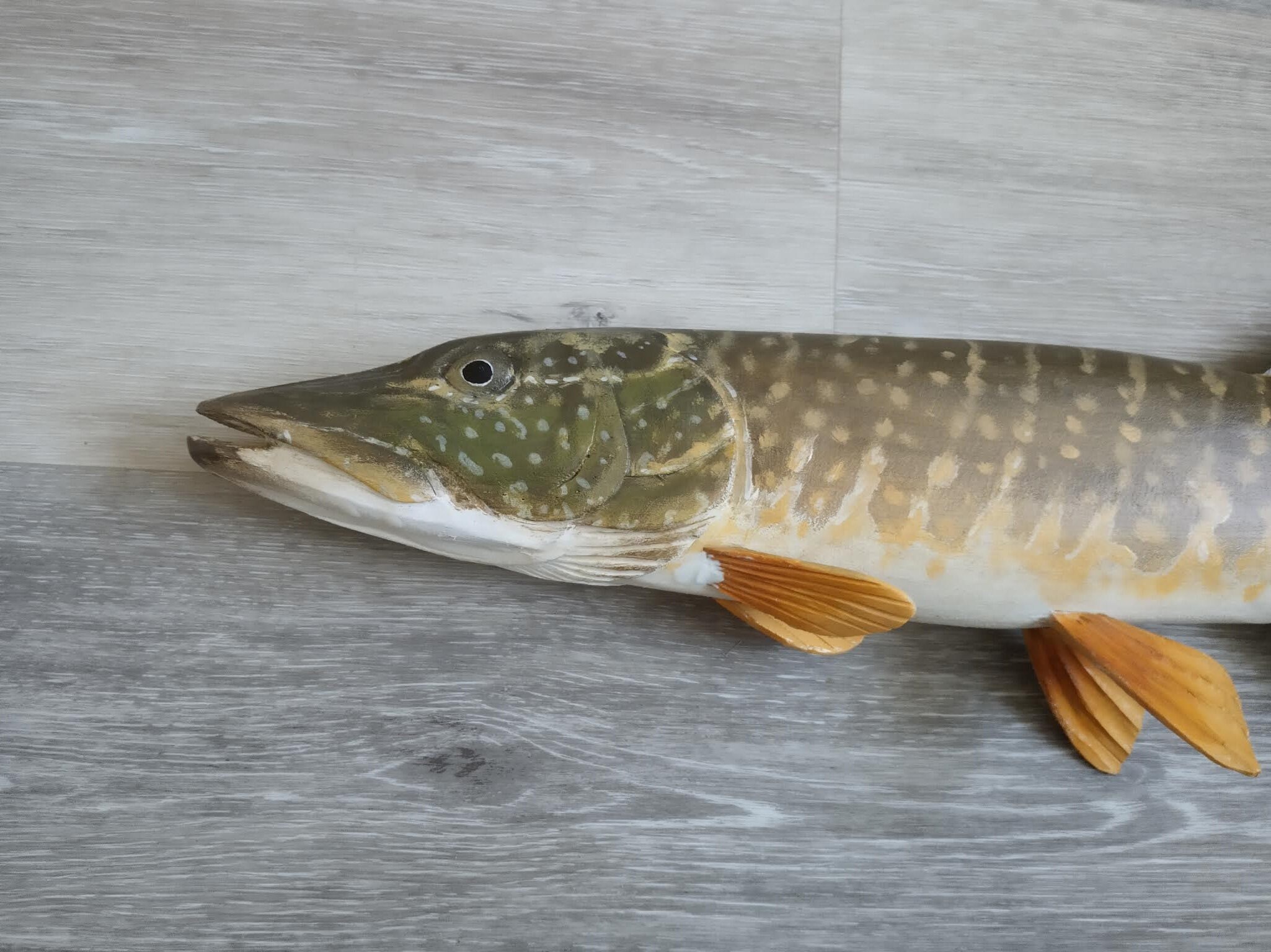 Northern Pike, Esox Lucius, Pike, 16-20 Inches 3D Wooden Fish, Both ...