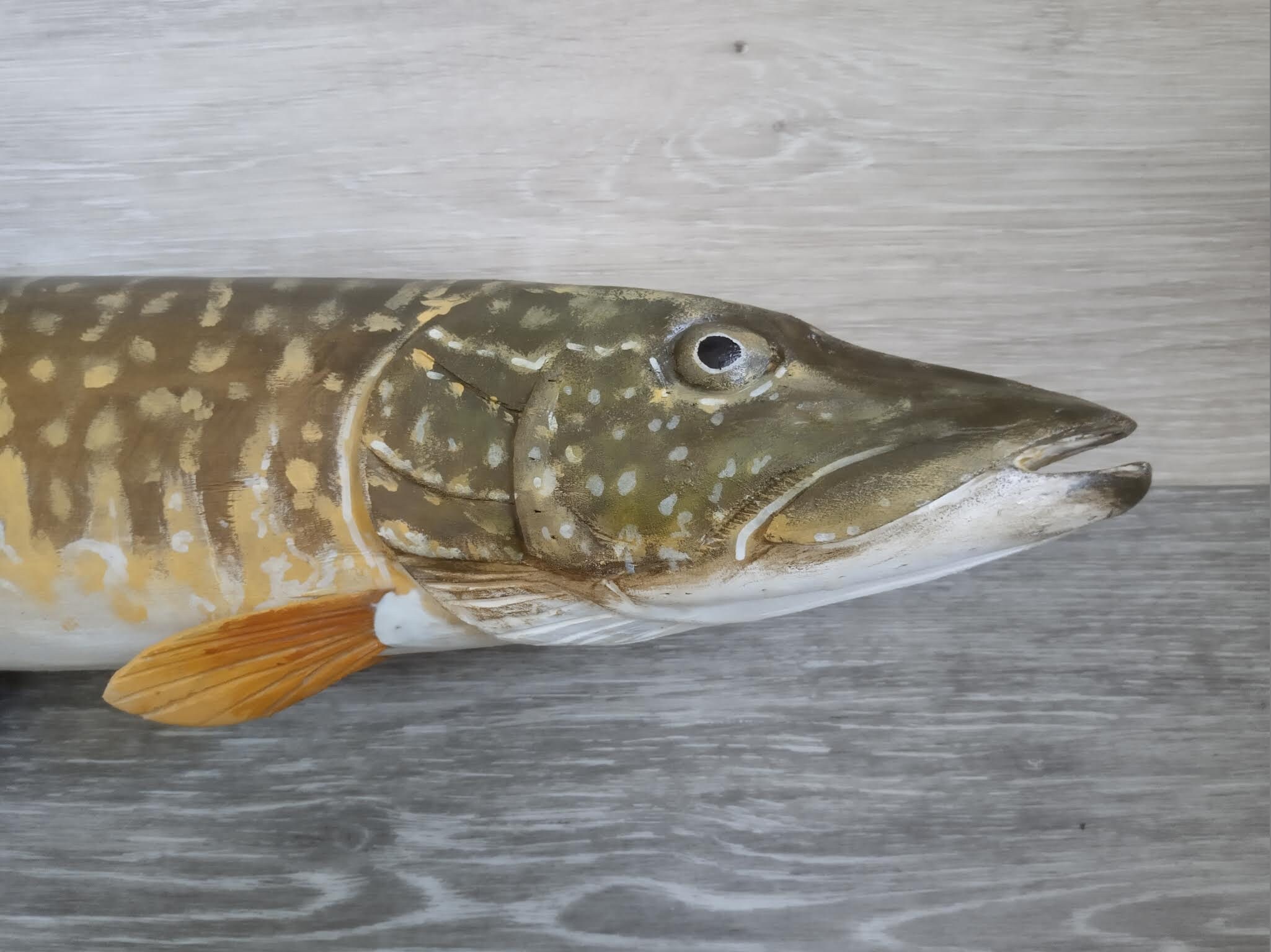 Northern Pike, Esox Lucius, Pike, 16-20 Inches 3D Wooden Fish, Both ...