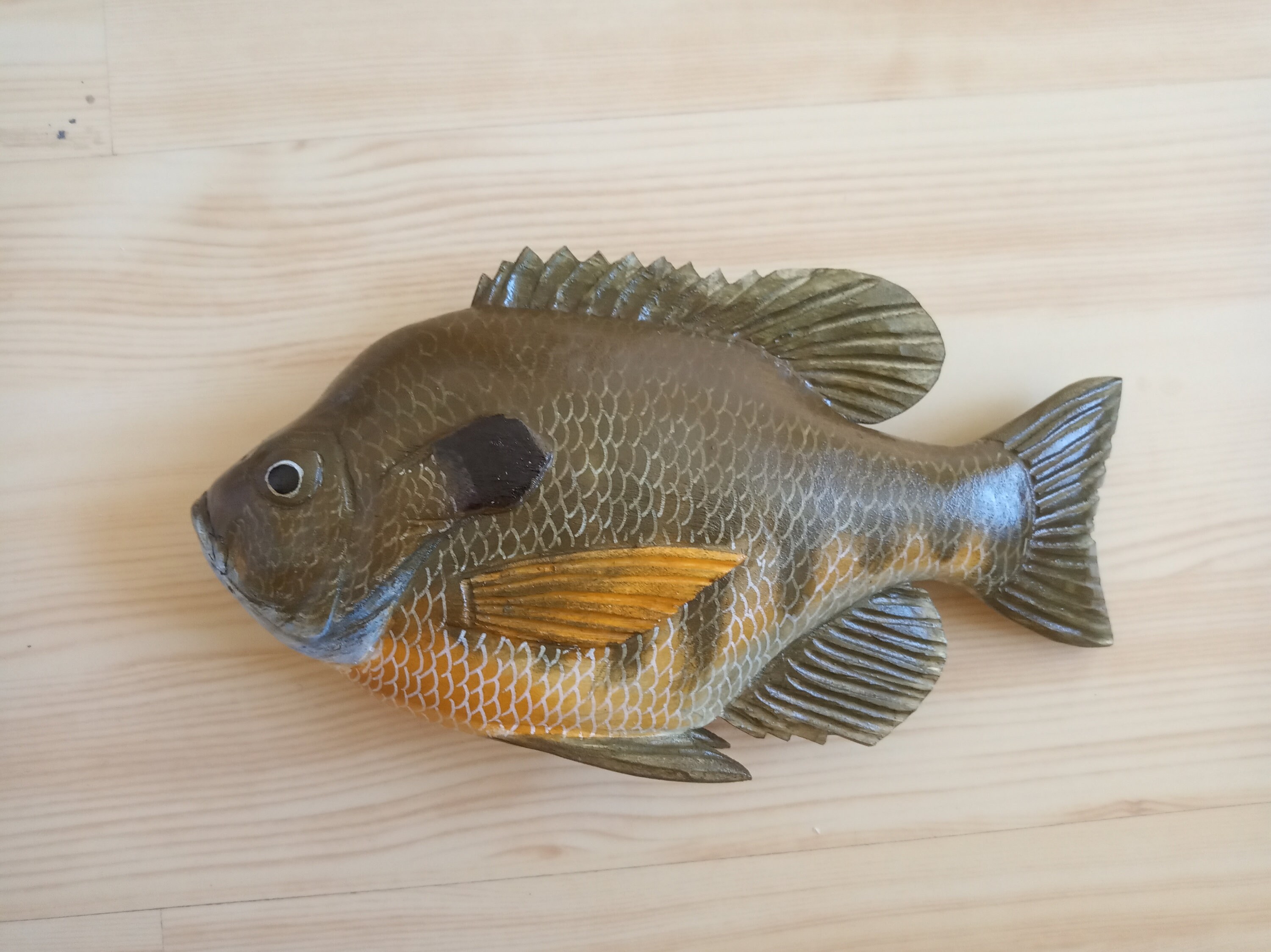 Male Bluegill, Lepomis Macrochirus, 5-10 Inches 3D Wooden Fish, Both ...