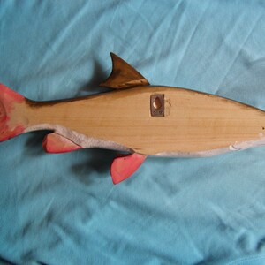 Barbel, Barbus Barbus, Common Barbel, 11-15 Inches 3D Wall Wooden Fish ...
