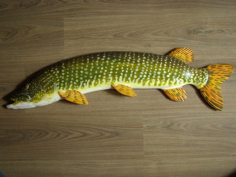 Northern Pike, Esox Lucius, Pike, 41-45 Inches 3D Wall Wooden Fish, One ...