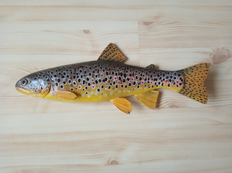 Brown Trout, Salmo Trutta, River Trout, 16-20 Inches 3D Wall Wooden ...