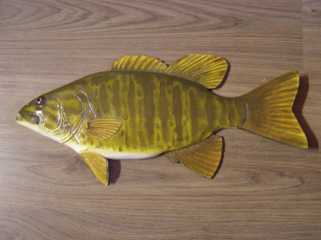 Smallmouth Bass, Micropterus Dolomieu, 16-20 Inches 3D Wall Wooden Fish ...