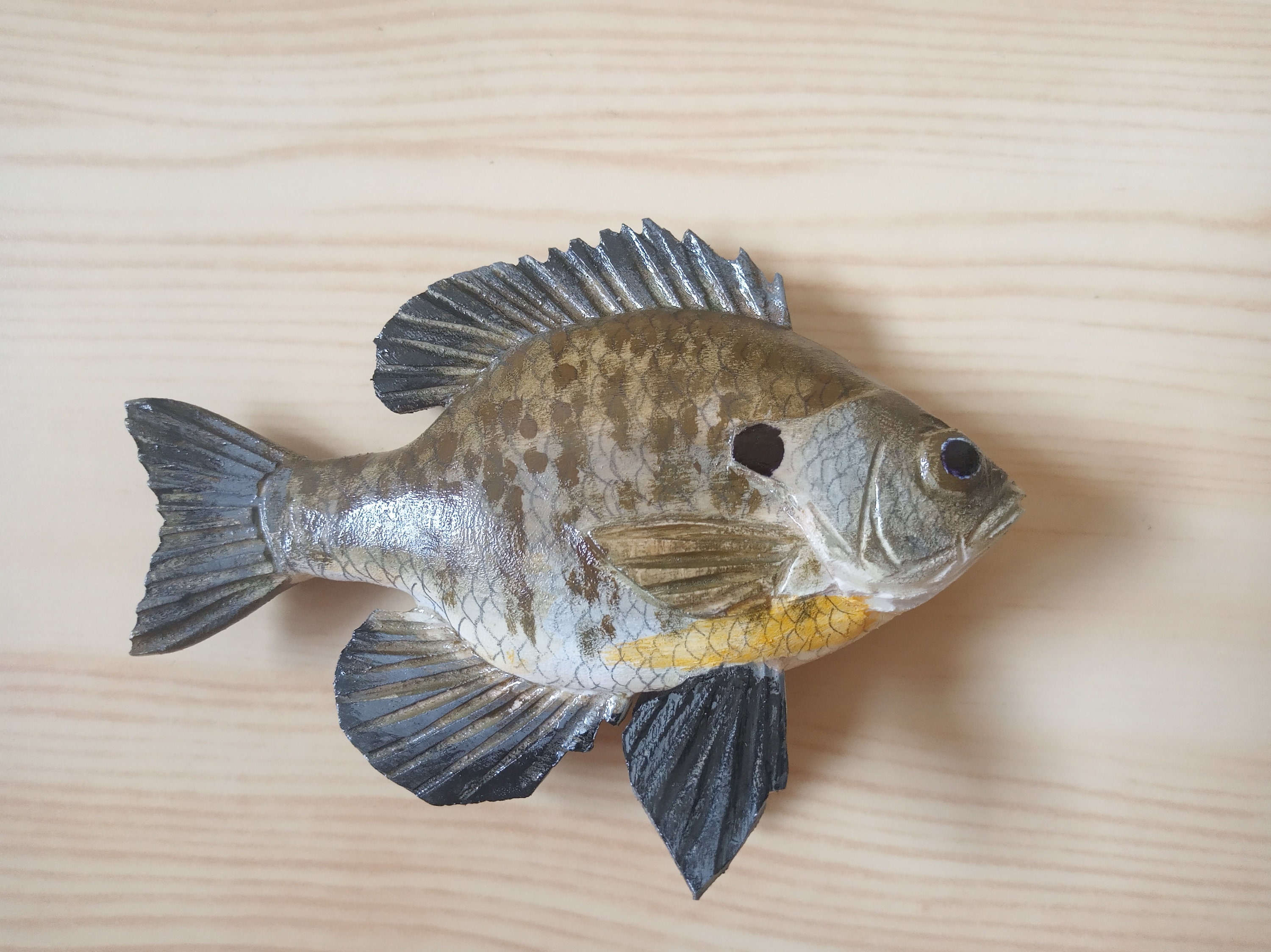 Female Bluegill, Lepomis Macrochirus, 5-10 Inches 3D Wall Wooden Fish ...