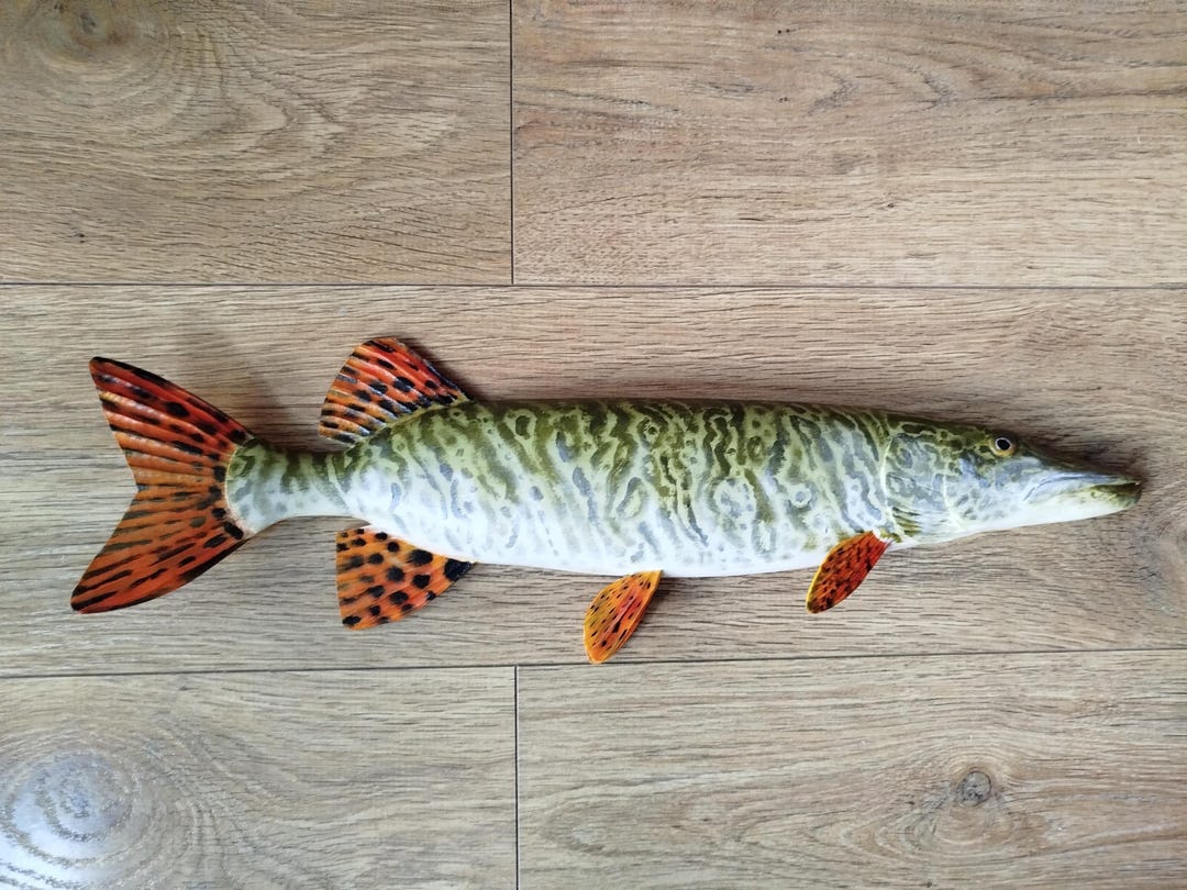 Tiger Pike, Tiger Muskellunge, Tiger Muskie, 16-20 Inches 3D Wall ...