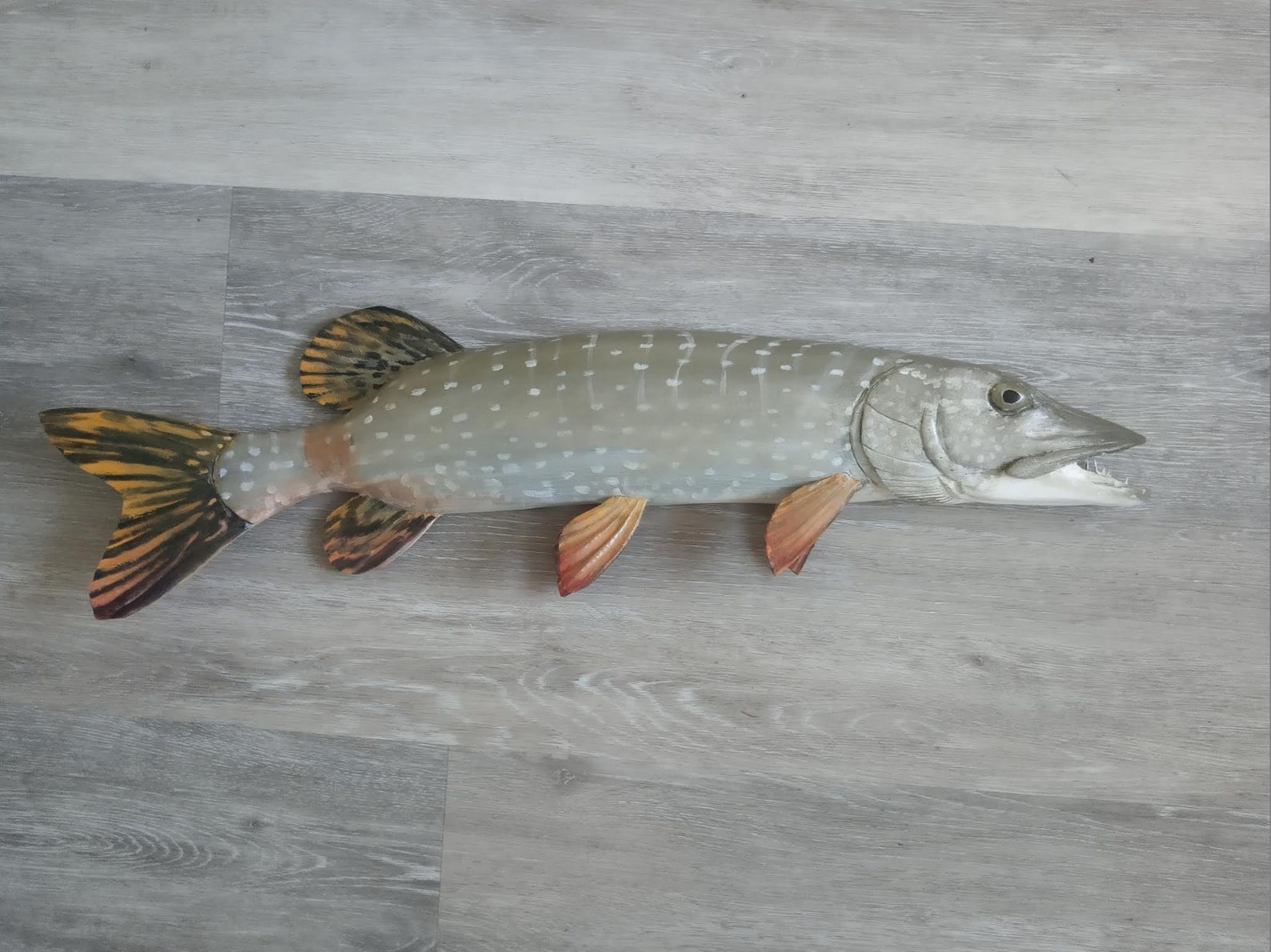Northern Pike, Esox Lucius, Pike, 26-30 Inches 3D Wall Wooden Fish, One ...