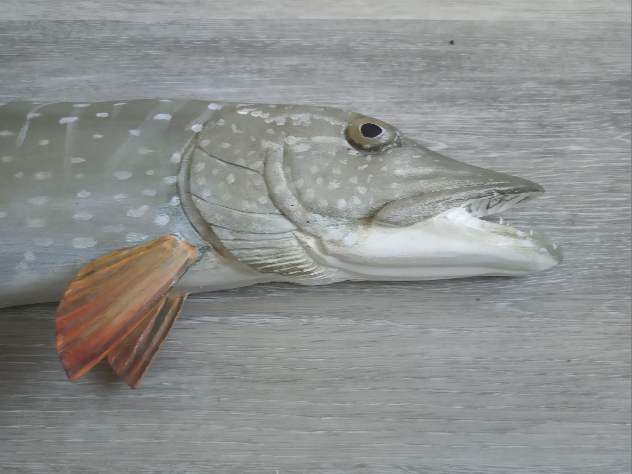 Northern Pike, Esox Lucius, Pike, 26-30 Inches 3D Wall Wooden Fish, One ...