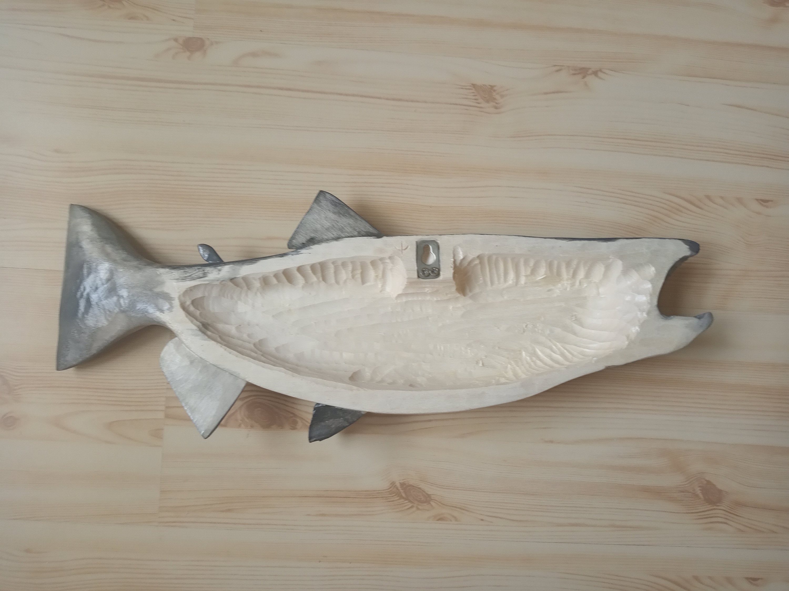 Silver Male King Salmon, Oncorhynchus Tshawytscha, Chinook Salmon, 21 ...