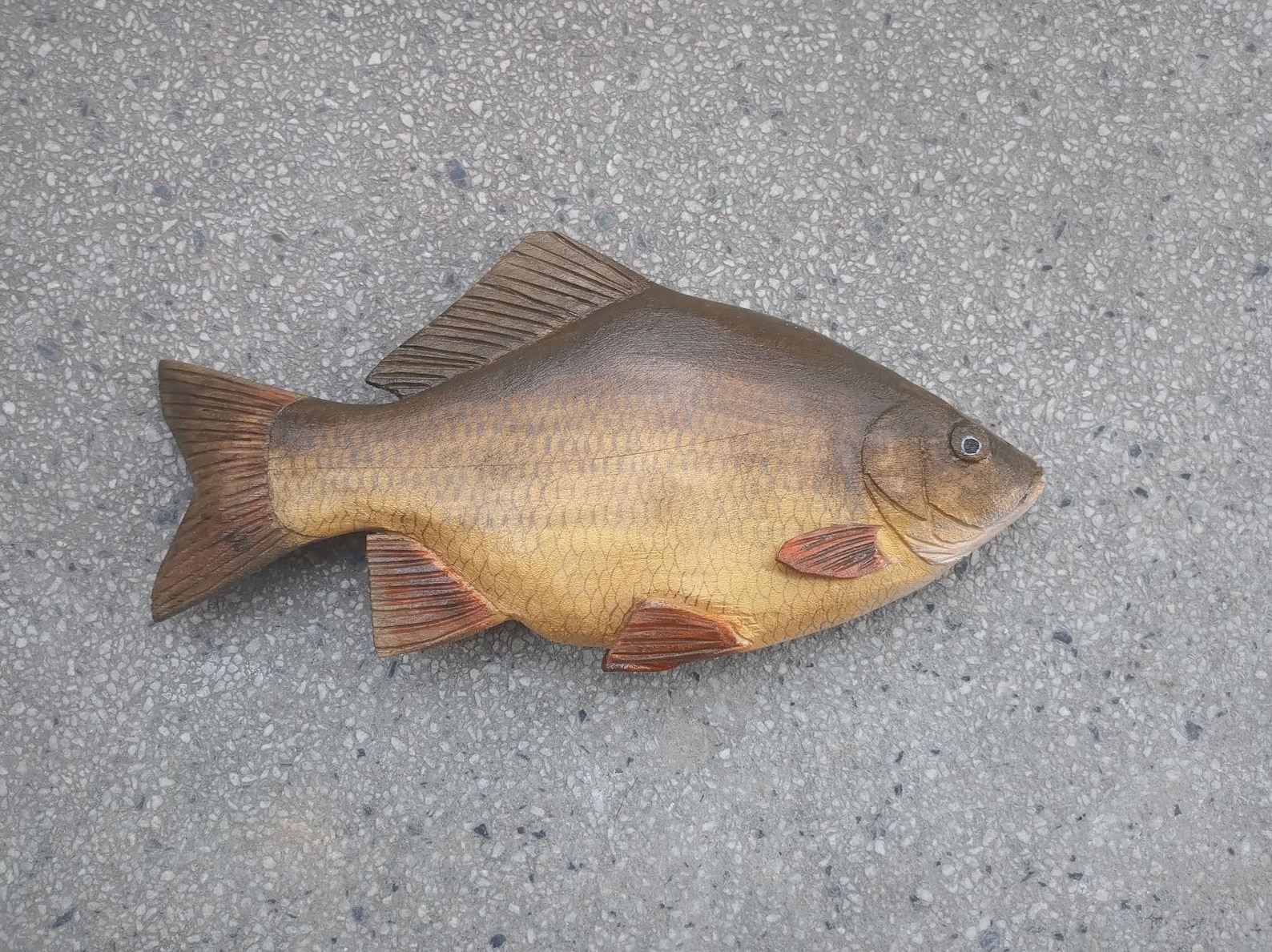 Crucian Carp, Carassius Carassius,wild Goldfish, 5-10 Inches 3D Wooden ...
