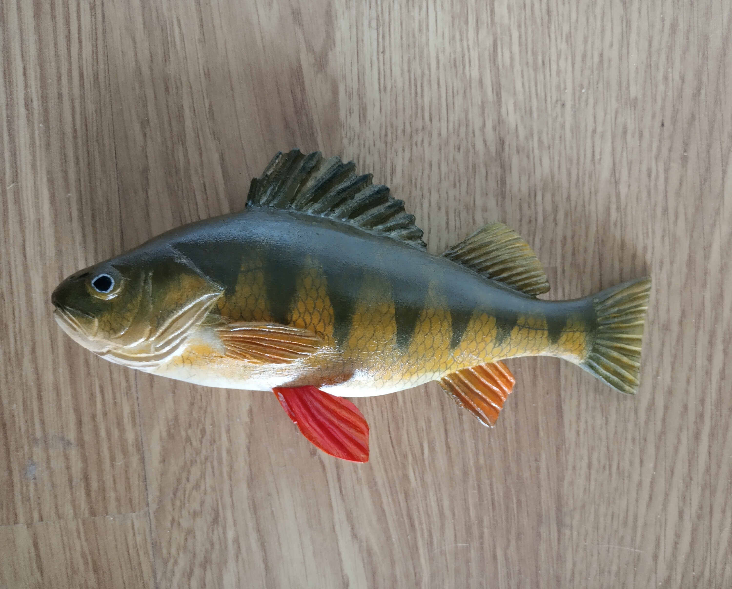 Yellow Perch, Perca Flavescens, American Perch, 5-10 Inches 3D Wooden ...