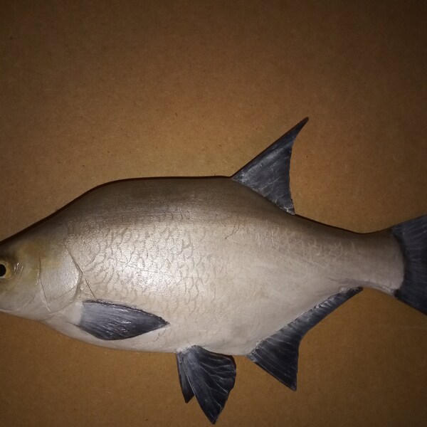 Halibut Fish Blank, 16-20 Inches 3D Wall Mounted Fish Blank, One Side ...