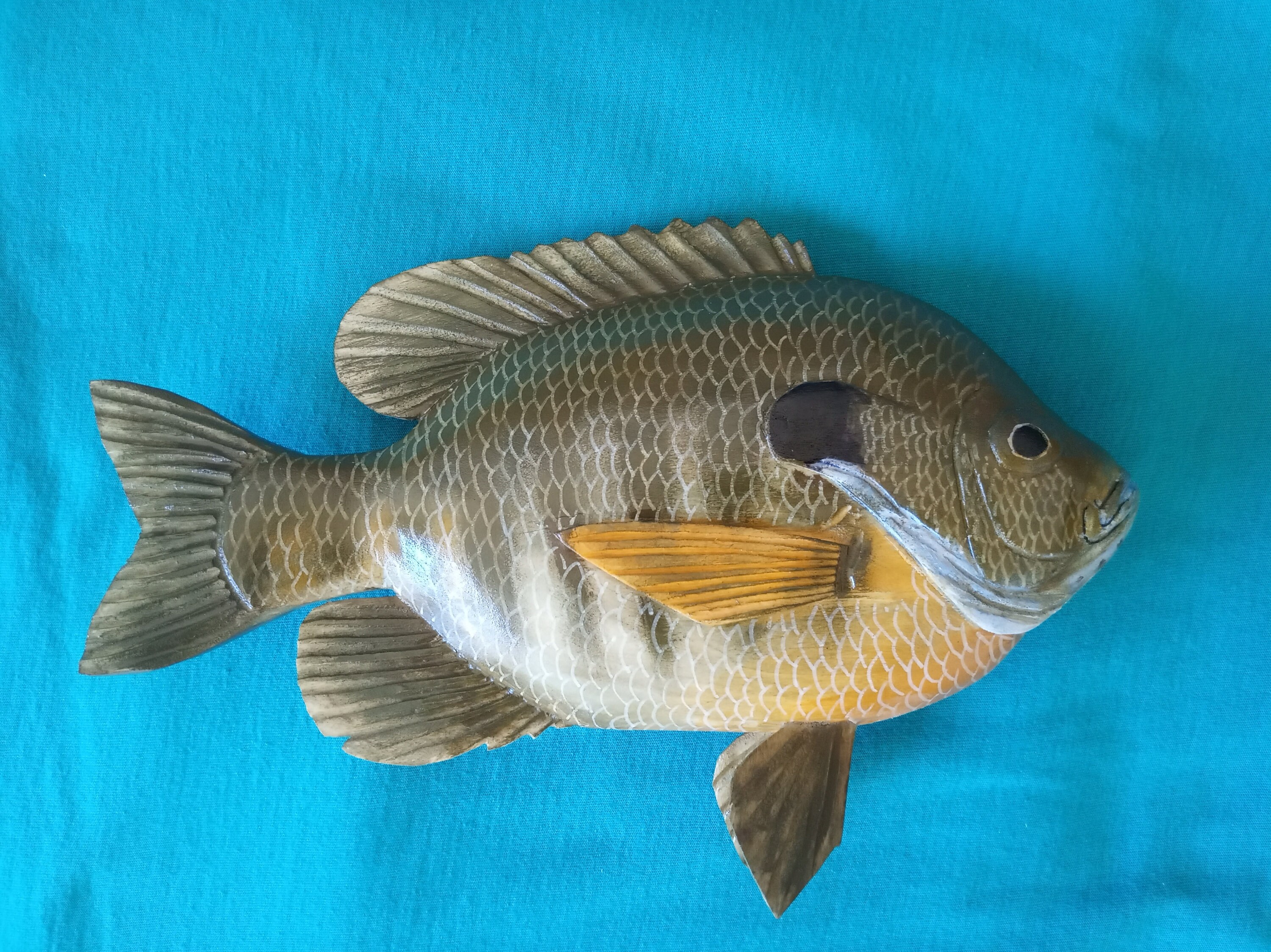 Male Bluegill, Lepomis Macrochirus, 11-15 Inches 3D Wall Wooden Fish ...