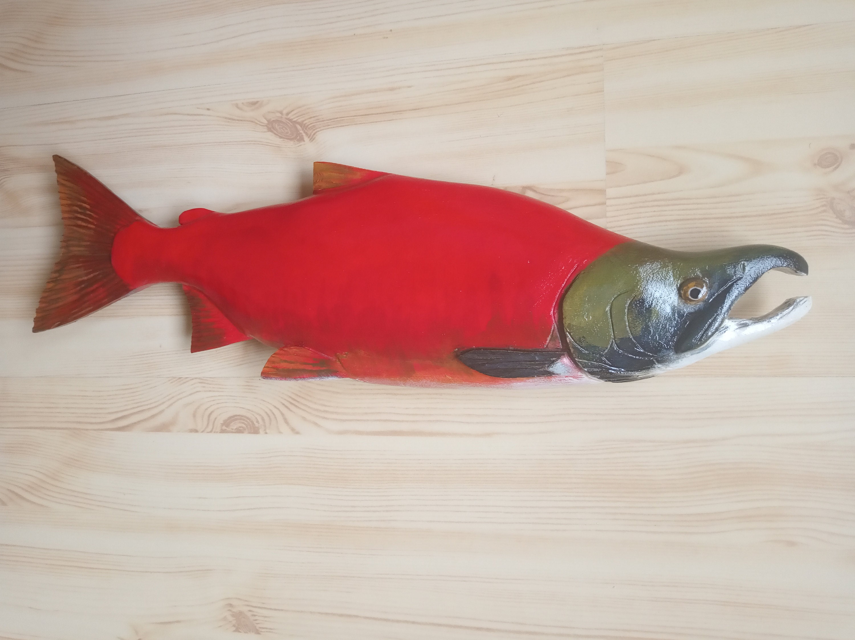 Spawning Male Sockeye Salmon, Oncorhynchus Nerka, Red Salmon, 16-20 ...