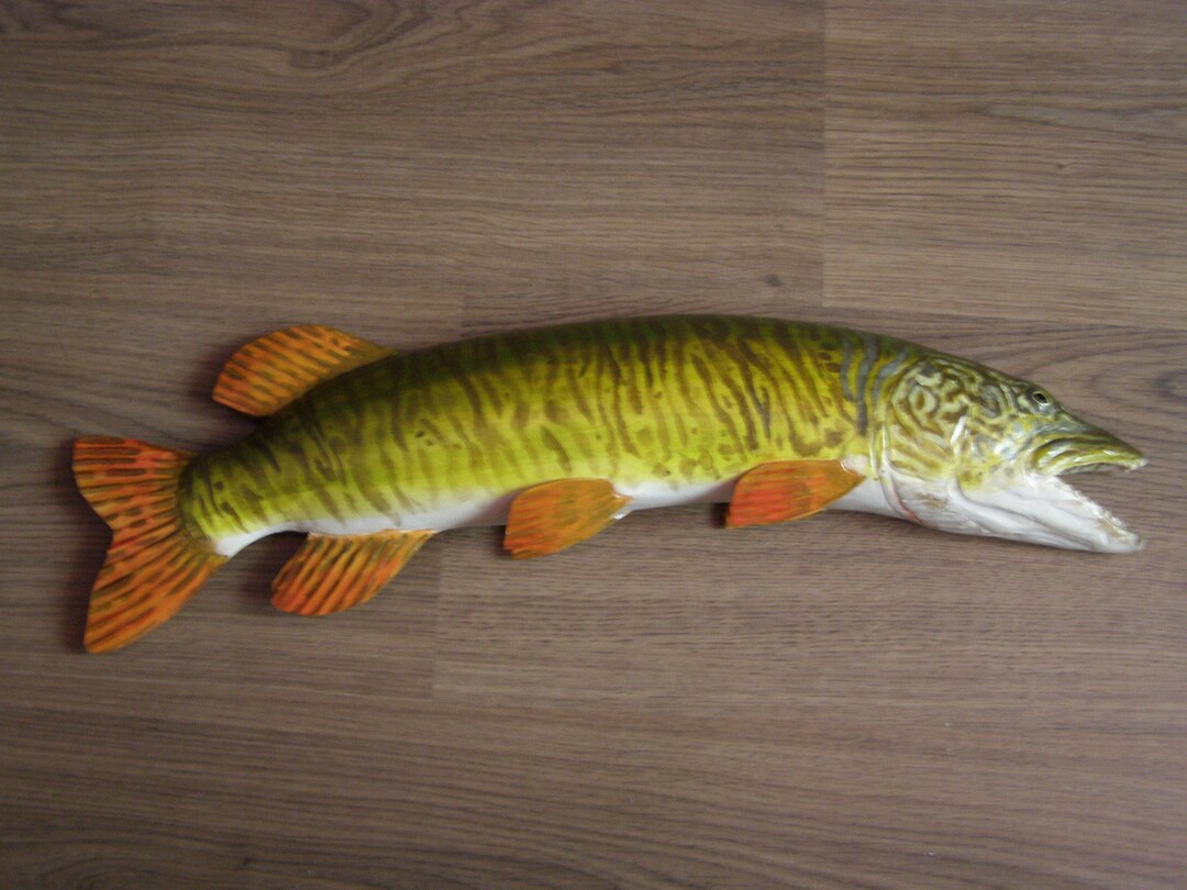 Tiger Pike, Tiger Muskellunge, Tiger Muskie, 16-20 Inches 3D Wall ...