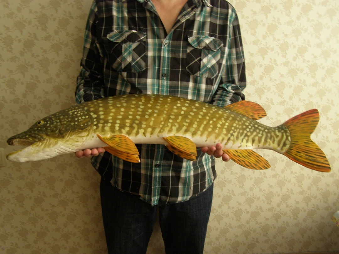 Northern Pike, Esox Lucius, Pike, 41-45 Inches 3D Wall Wooden Fish, One ...