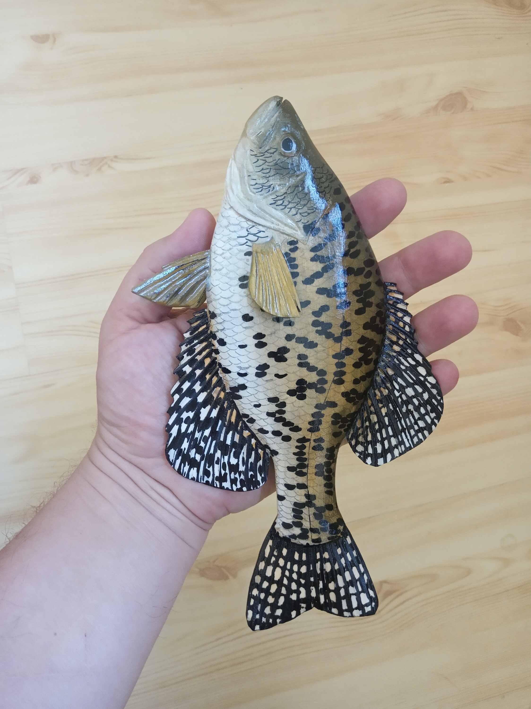 Black Crappie, Pomoxis Nigromaculatus, 5-10 Inches 3D Wooden Fish, Both ...