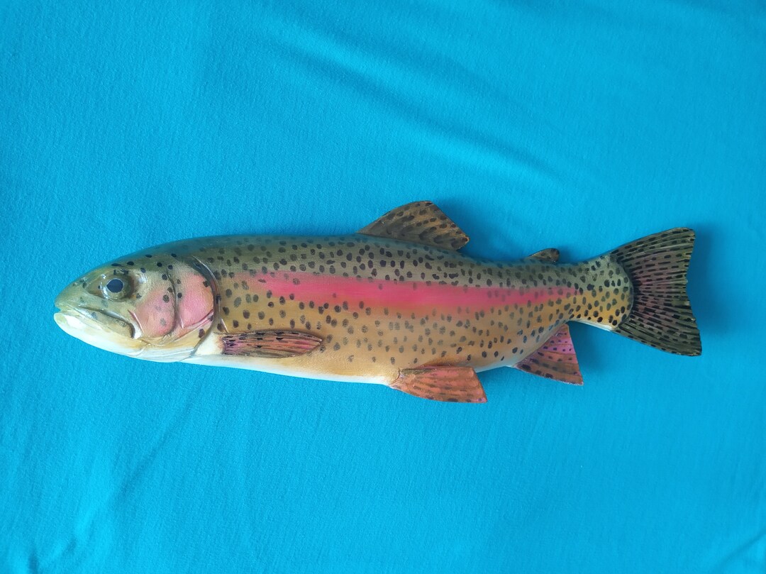 Rainbow Trout, Oncorhynchus Mykiss, Steelhead, 11-15 Inches 3D Wooden ...