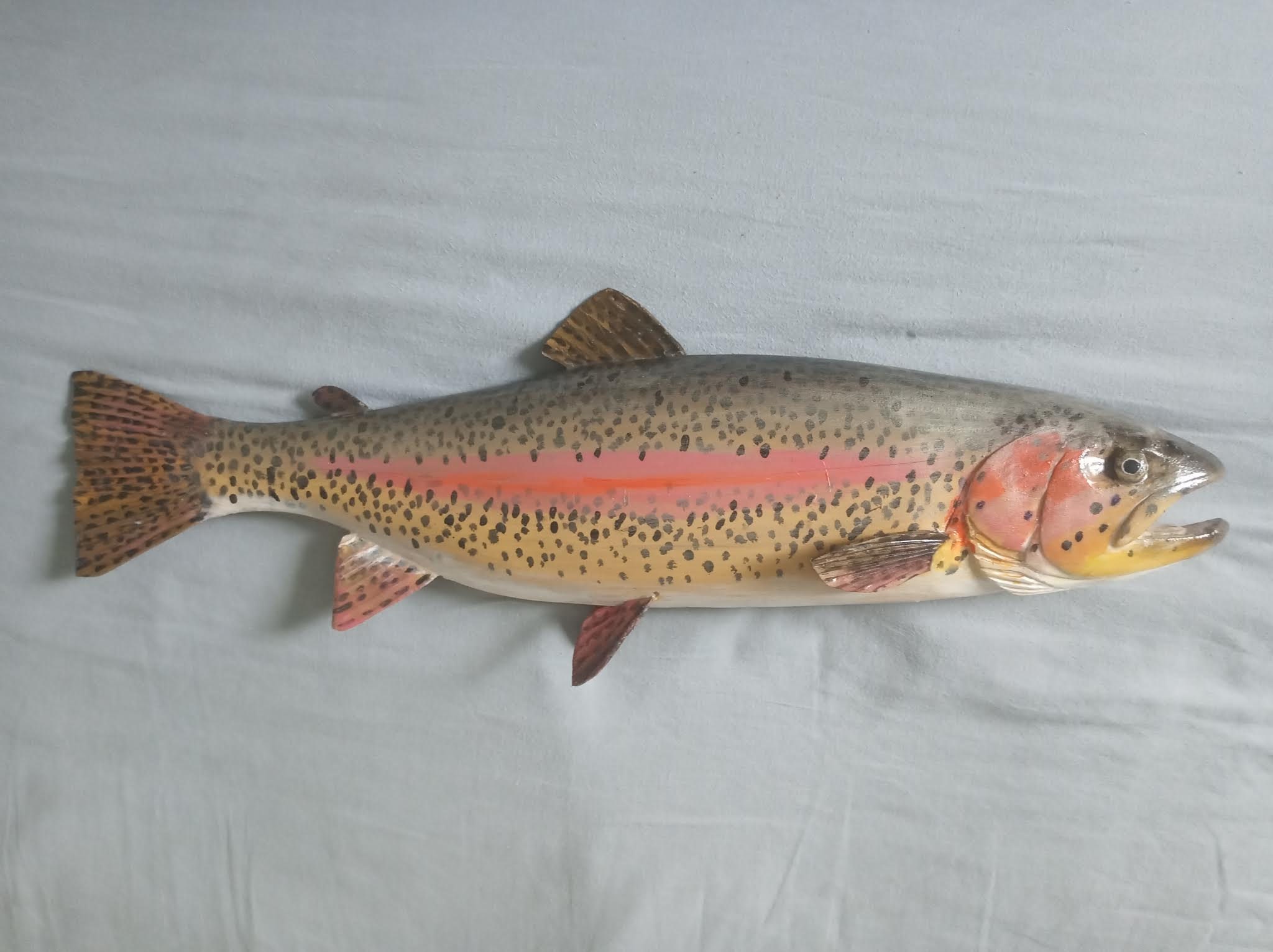 Rainbow Trout, Oncorhynchus Mykiss, Steelhead Trout, 21-25 Inches 3D ...