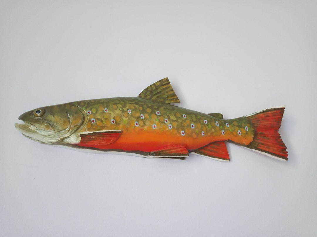 Brook Trout, Salvelinus Fontinalis, 11-15 Inches 3D Wall Wooden Fish ...