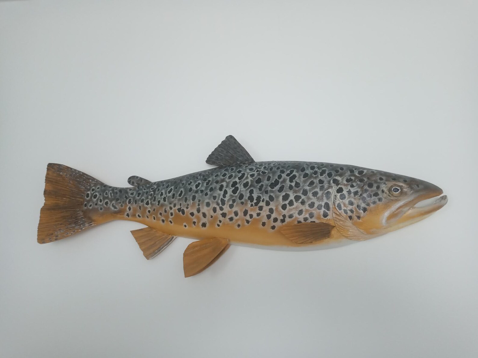 Brown Trout, Salmo Trutta, River Trout, 31-35 Inches 3D Wall Wooden ...