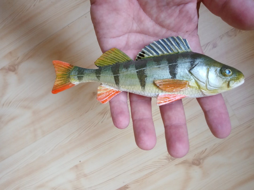 Juvenile European Perch, Perca Fluviatilis, 5-10 Inches 3D Wall Wooden ...