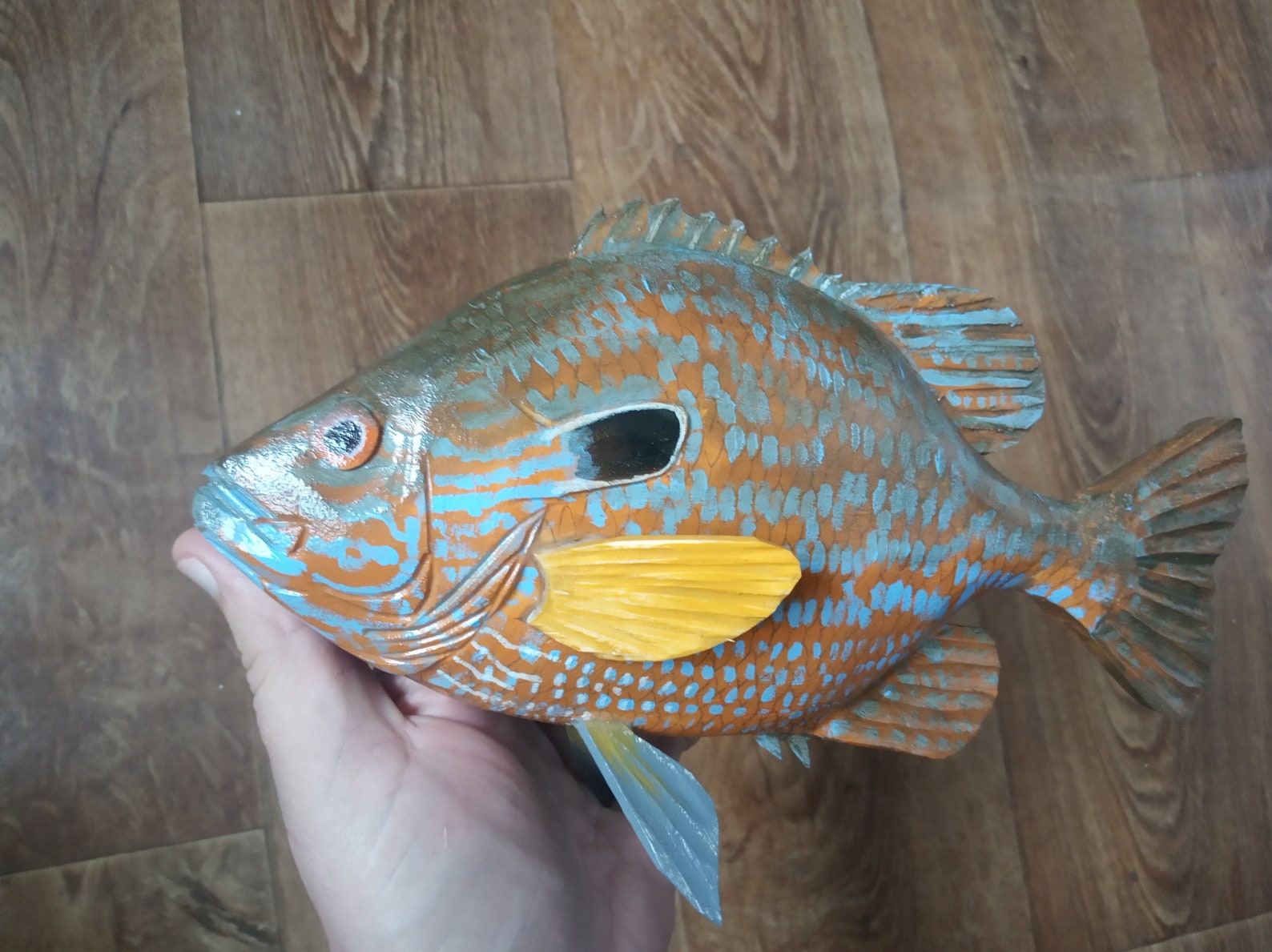 Longear Sunfish, Lepomis Megalotis, 5-10 Inches 3D Wooden Fish, Both ...