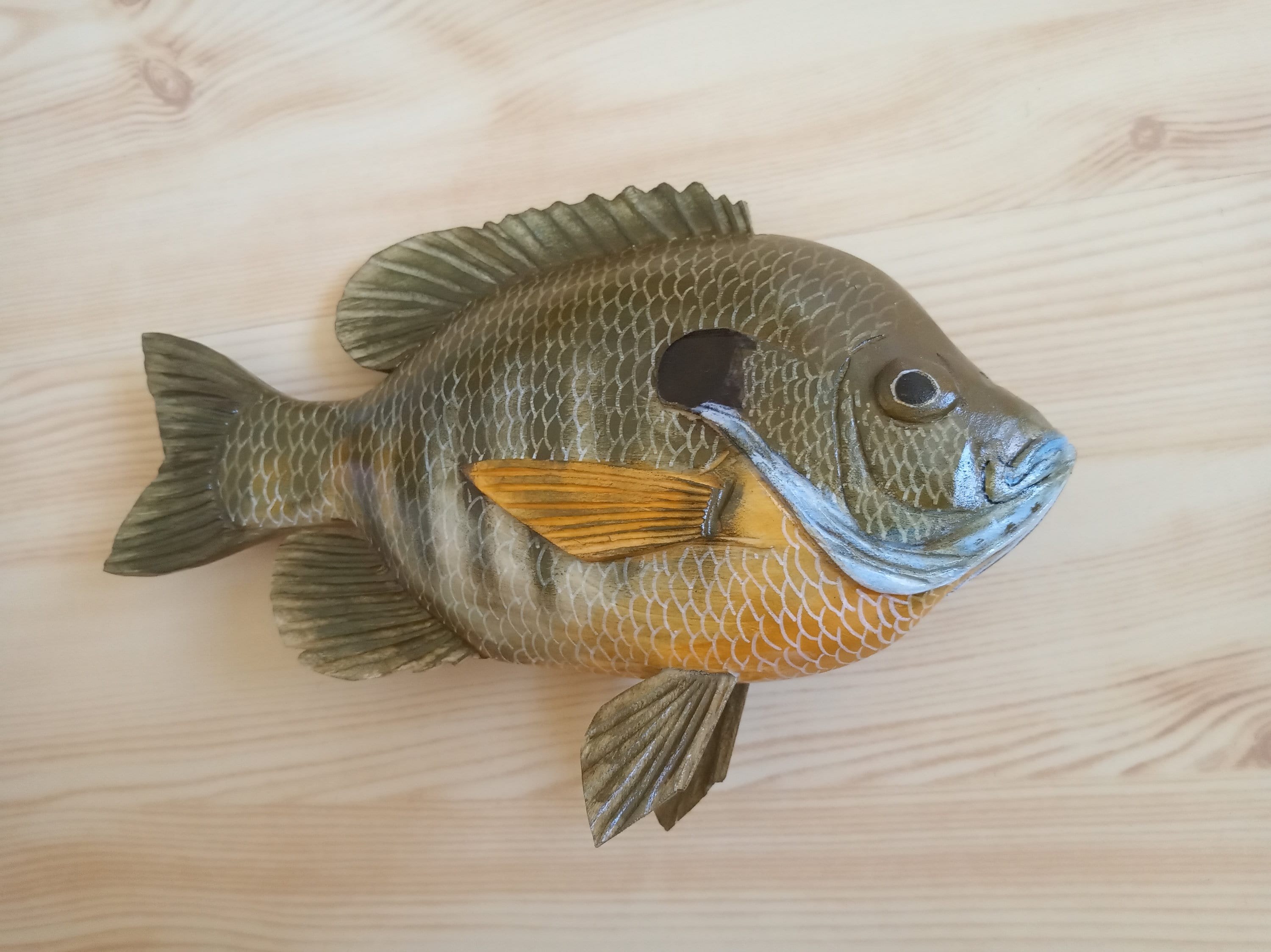 Male Bluegill, Lepomis Macrochirus, 11-15 Inches 3D Wall Wooden Fish ...
