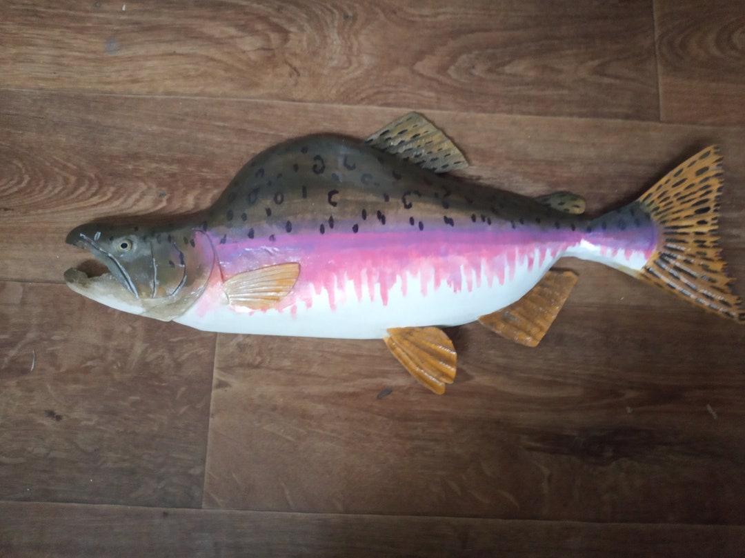 Spawning Male Pink Salmon,oncorhynchus Gorbuscha,humpbacked Salmon, 21 ...