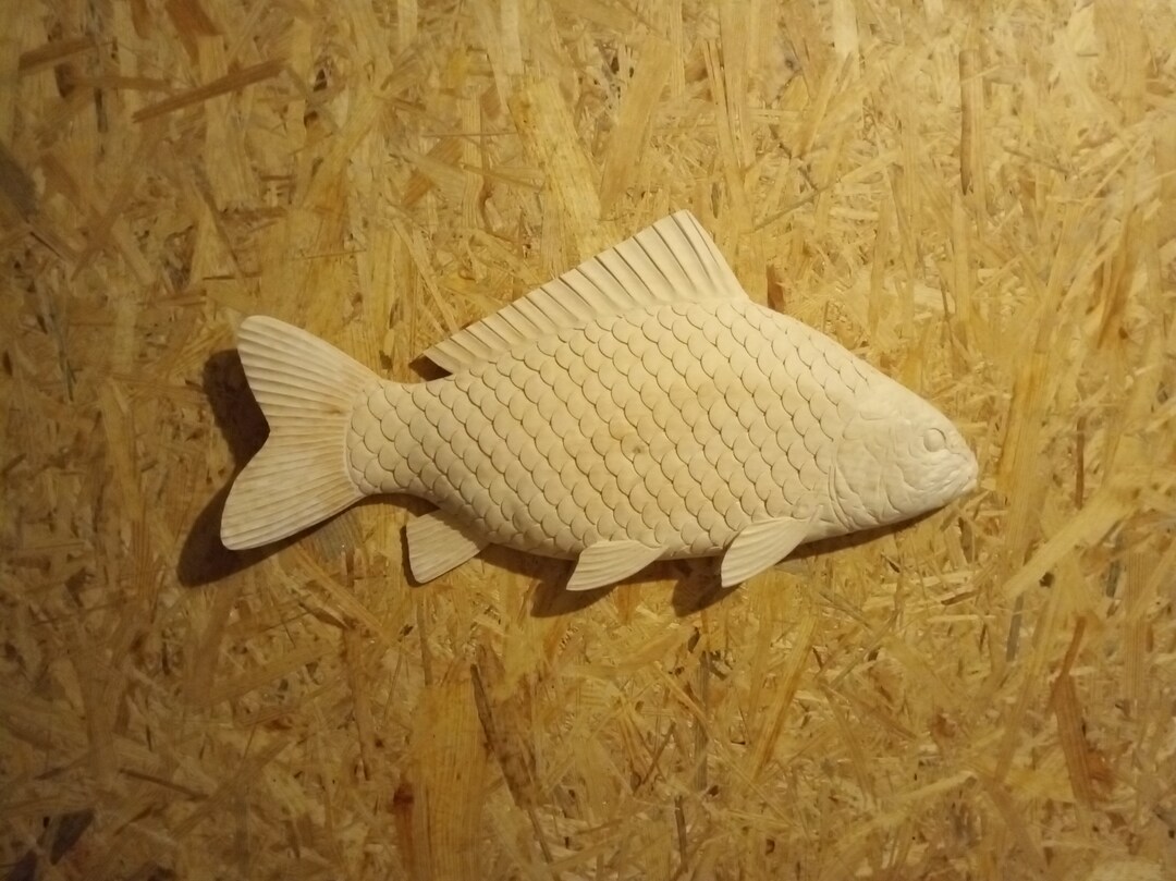 Common Carp Fish Blank, Scalled Carp, 5-10 Inches 3D Wall Mounted Fish ...